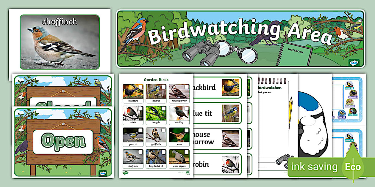 Birdwatching Role-Play Area | Twinkl (Teacher-Made) - Twinkl