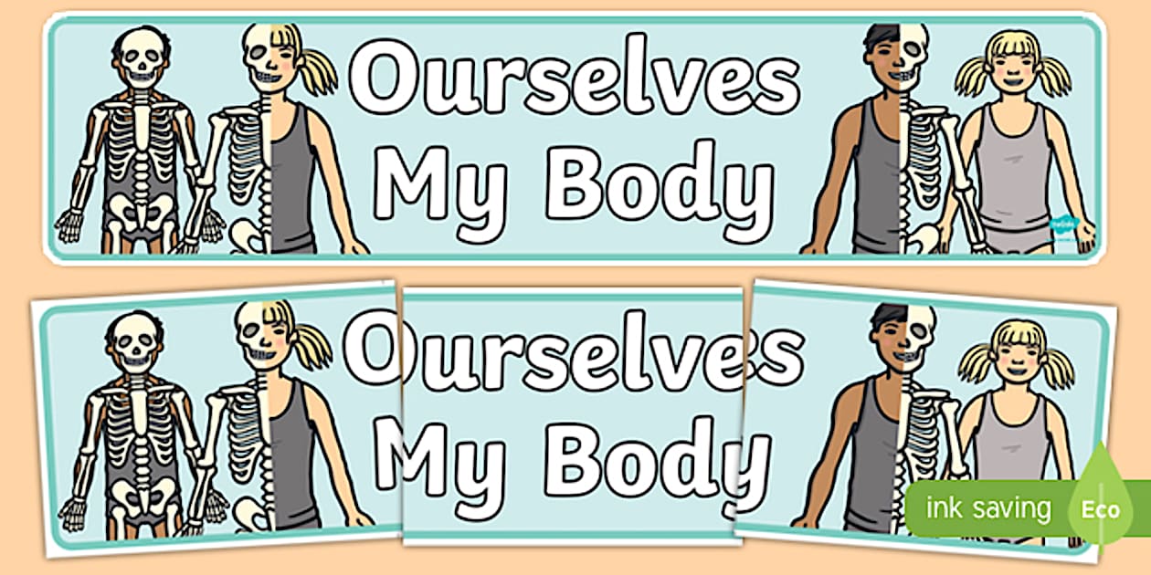 Ourselves: My Body Display Banner (teacher made) - Twinkl