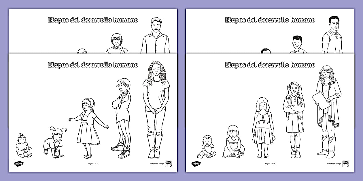 Hoja de colorear: Etapas del desarrollo humano | Twinkl