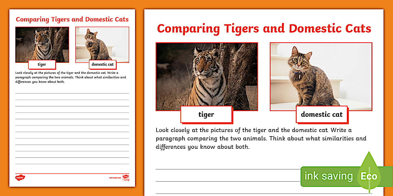 How Are Tigers like Cats? Comparison Worksheet - Twinkl