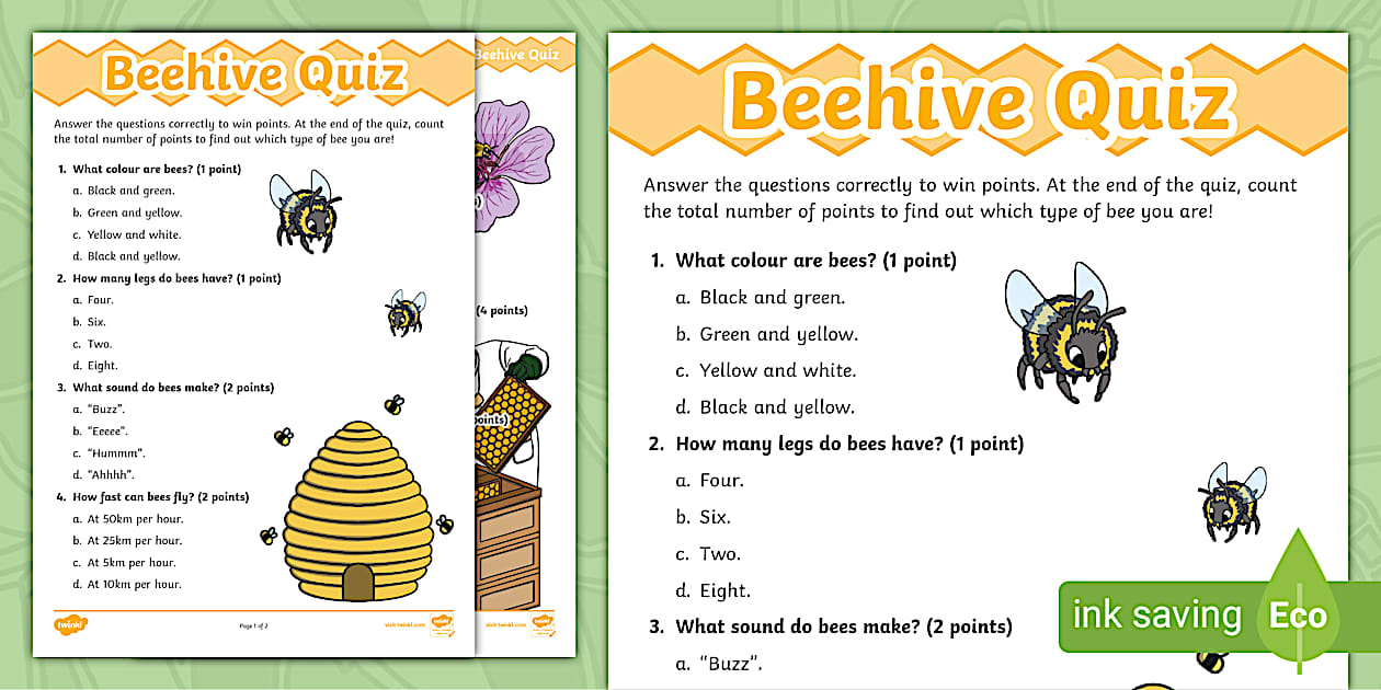 ESL Beehive Quiz | World Bee Day | Twinkl (Teacher-Made)
