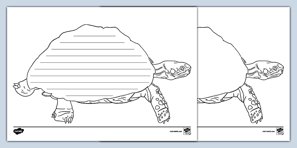 Tortoise Writing Template (teacher made) - Twinkl