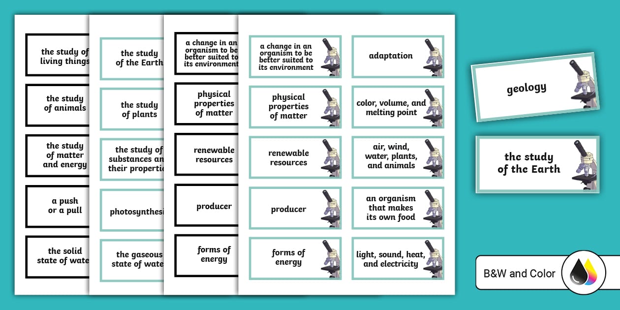 Brain Boost Game | Science | Twinkl USA (Teacher-Made)