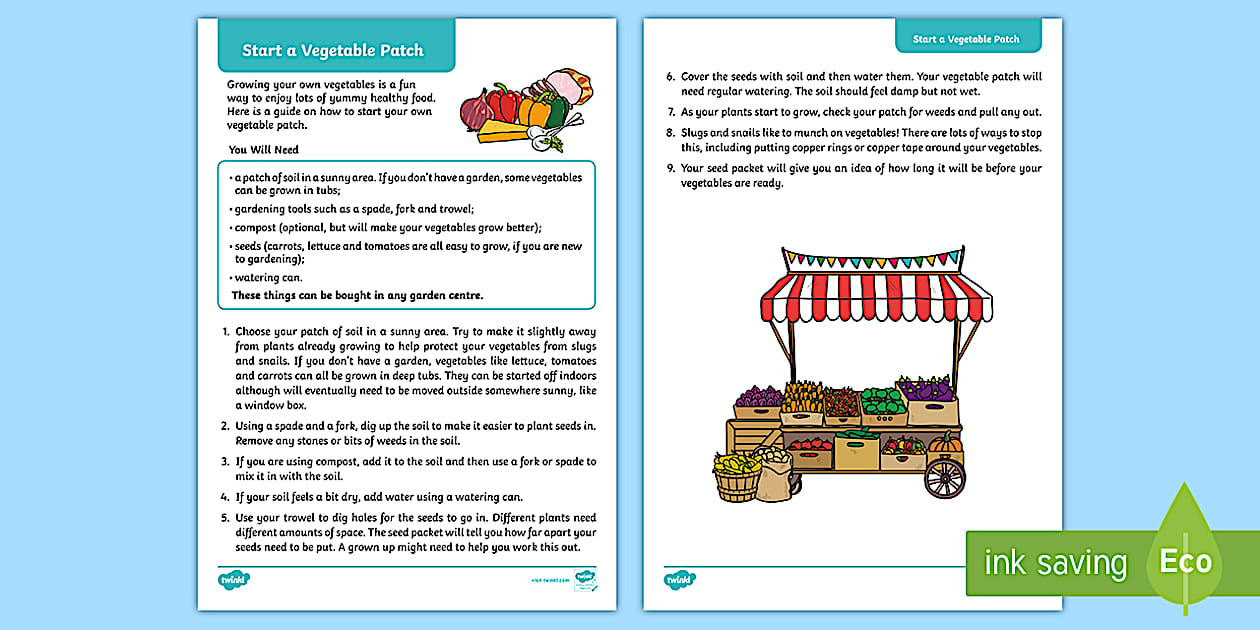 FREE! - Start a Vegetable Patch Activity (teacher made)