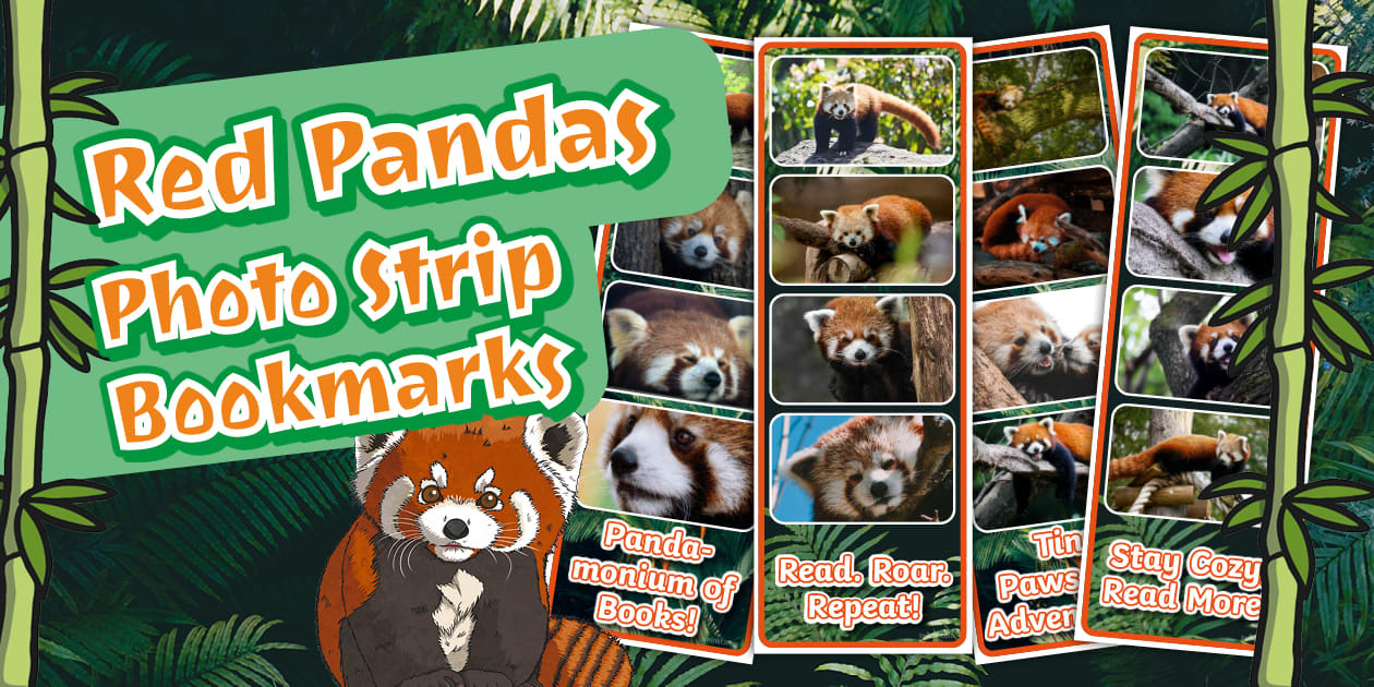 * NEW * Red Panda Photo Strip Bookmarks - Twinkl