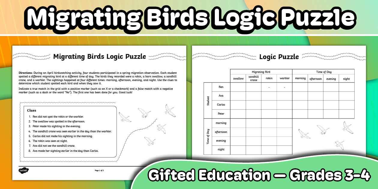 Migrating Birds Logic Puzzle for Gifted Education