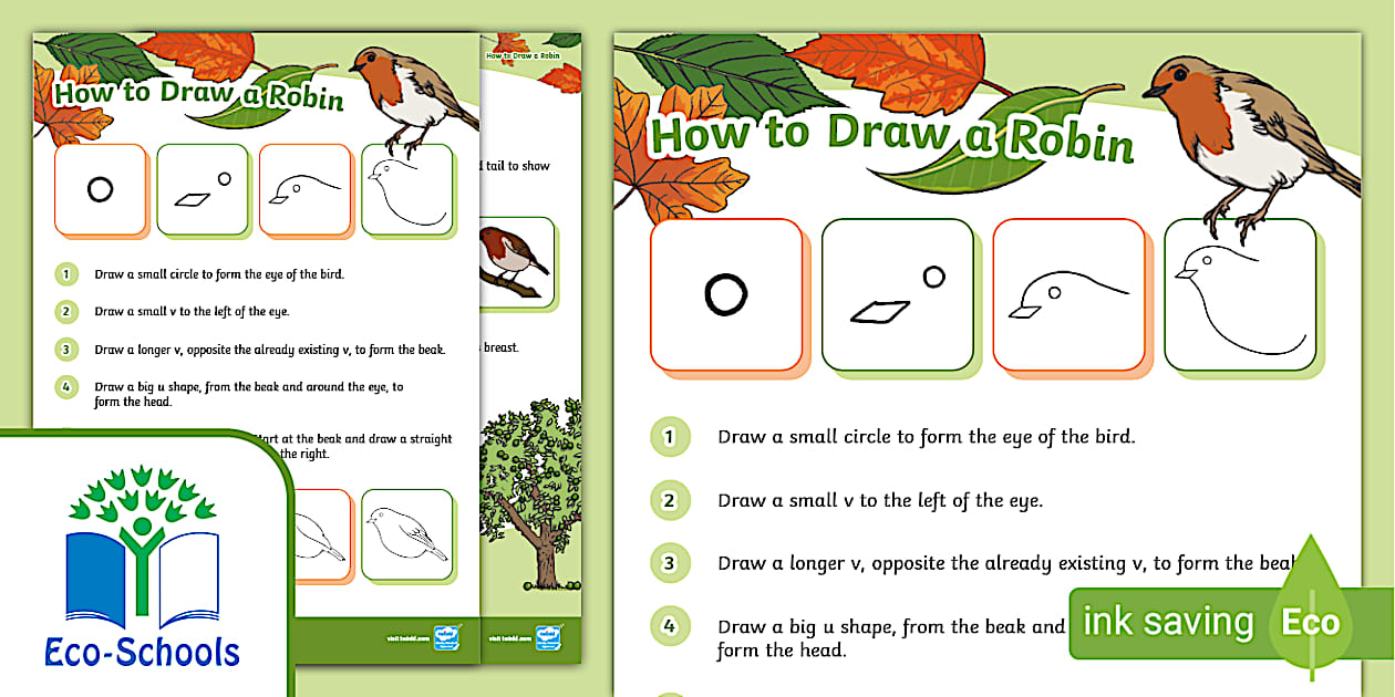 Eco-Schools NI: How to Draw a Robin (teacher made) - Twinkl