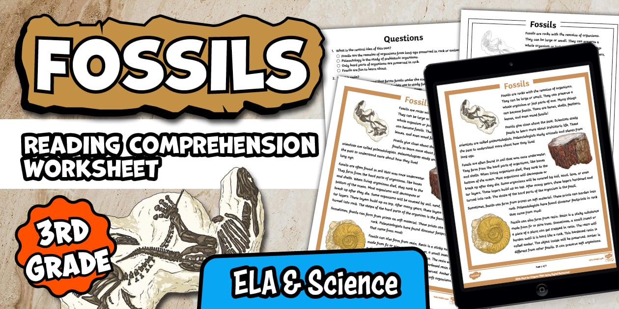Third Grade Fossil Comprehension Worksheet | Twinkl USA