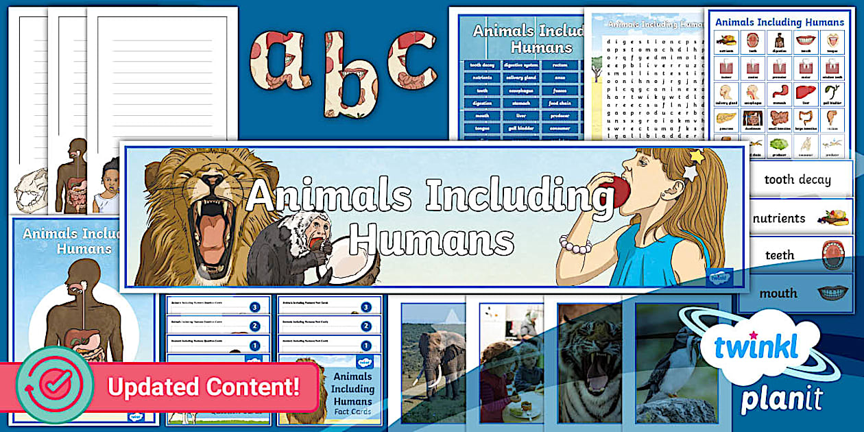 Science: Animals Including Humans Y4 Additional Resources