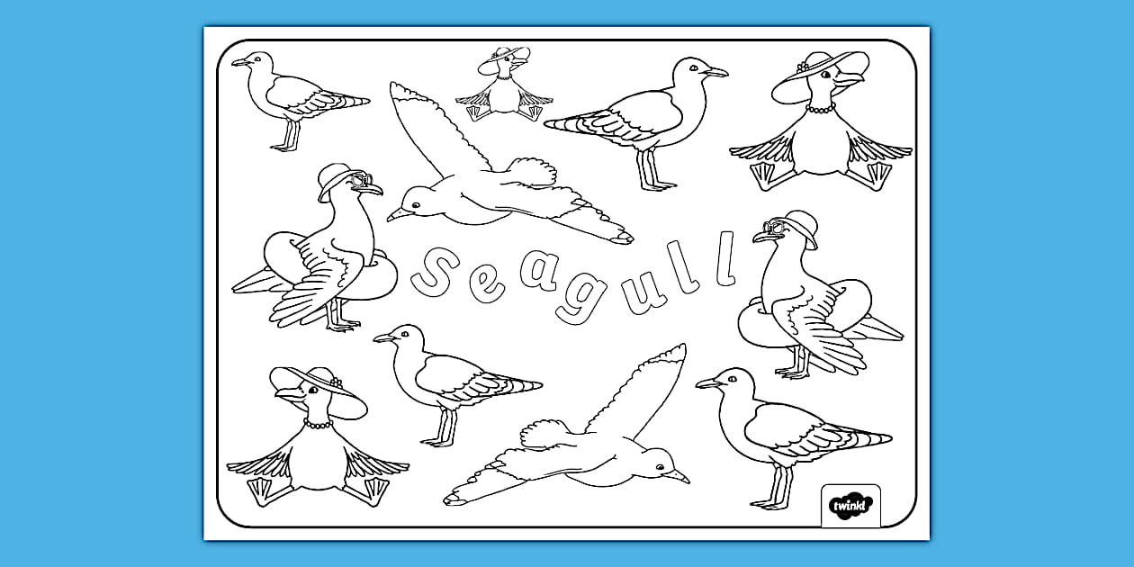 Seagull Doodle Colouring Page (teacher made) - Twinkl