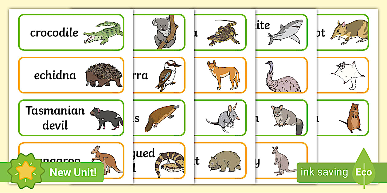 Australian Animals List and Pictures | Word Cards | Twinkl