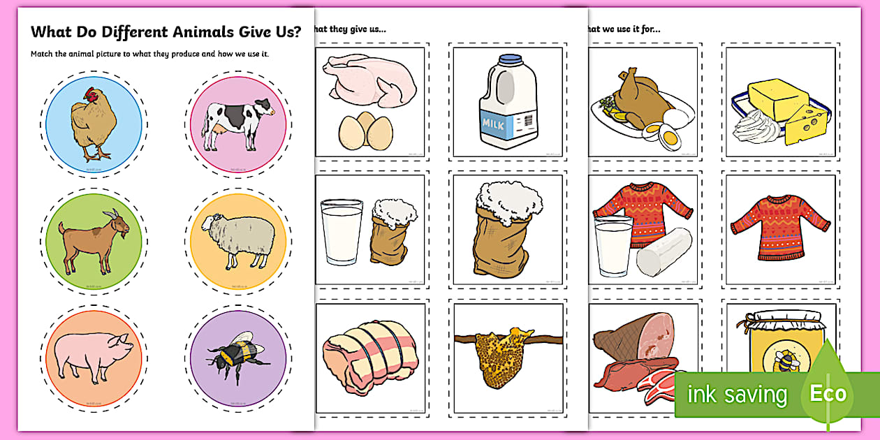 What Do Different Animals Give Us Picture Activity - Twinkl