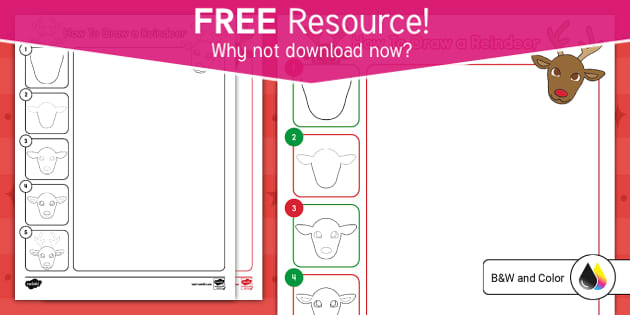 FREE How To Draw a Reindeer Activity (Teacher-Made) - Twinkl