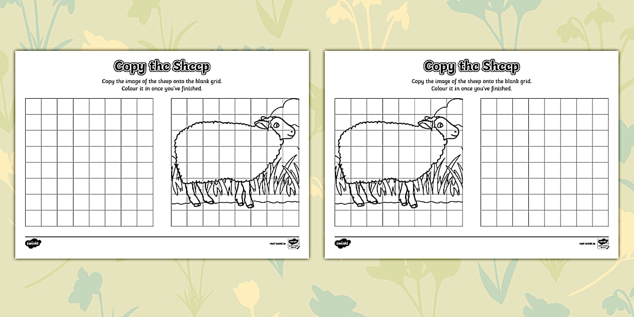 Copy the Sheep Worksheet (teacher made) - Twinkl