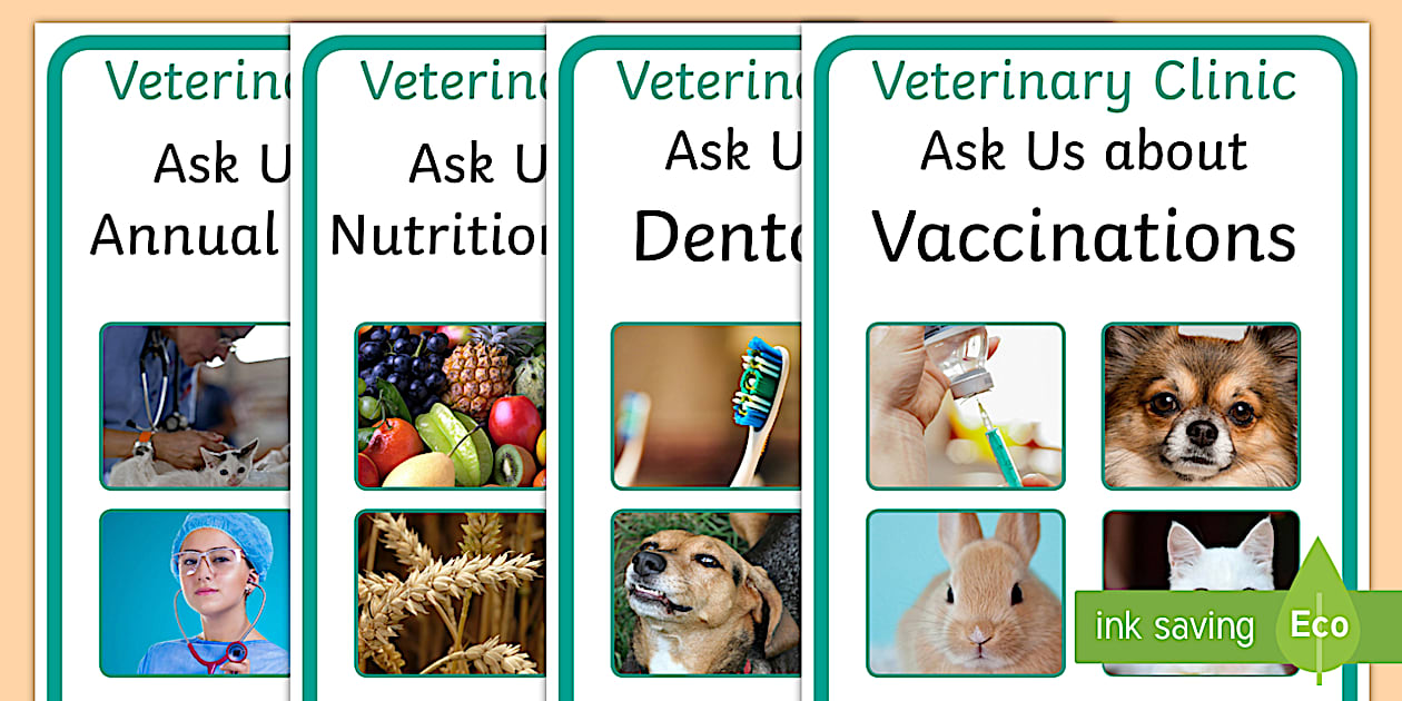 Veterinary Clinic Advice Posters (teacher made) - Twinkl