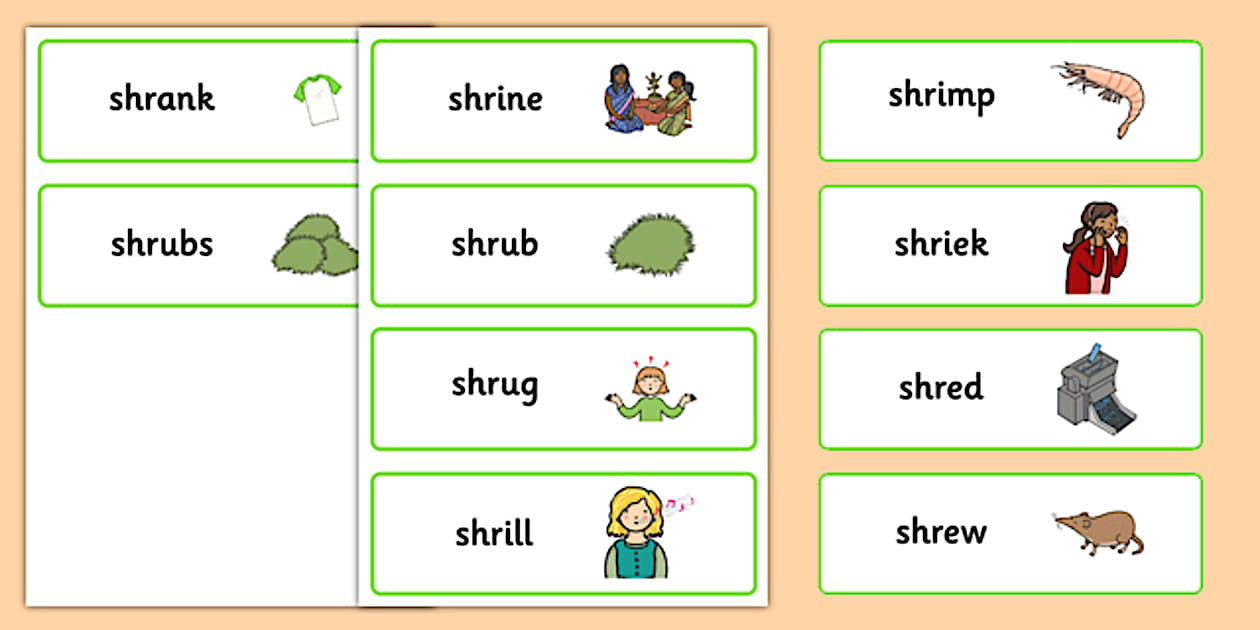 Editable SHR Word Cards (teacher made) - Twinkl