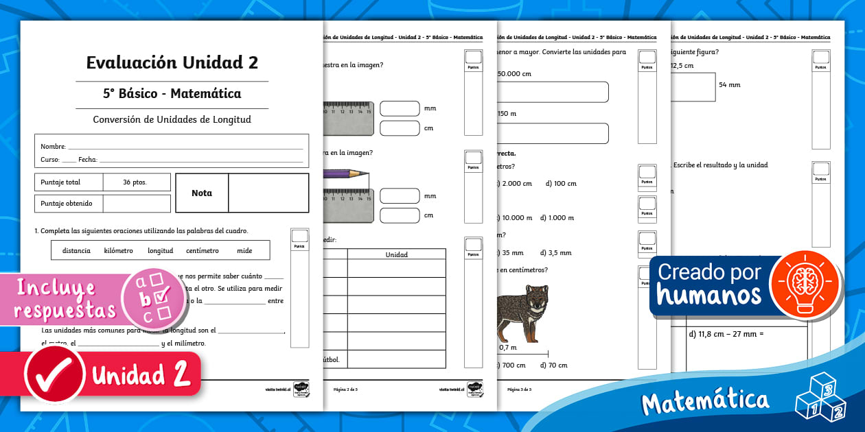 Evaluación | Unidad 2 | 5° Básico | Prueba | Longitud |cm