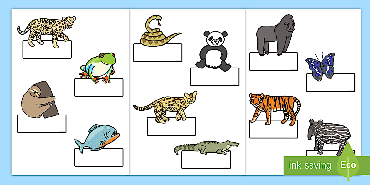 Etiquetas de animales editables (teacher made) - Twinkl