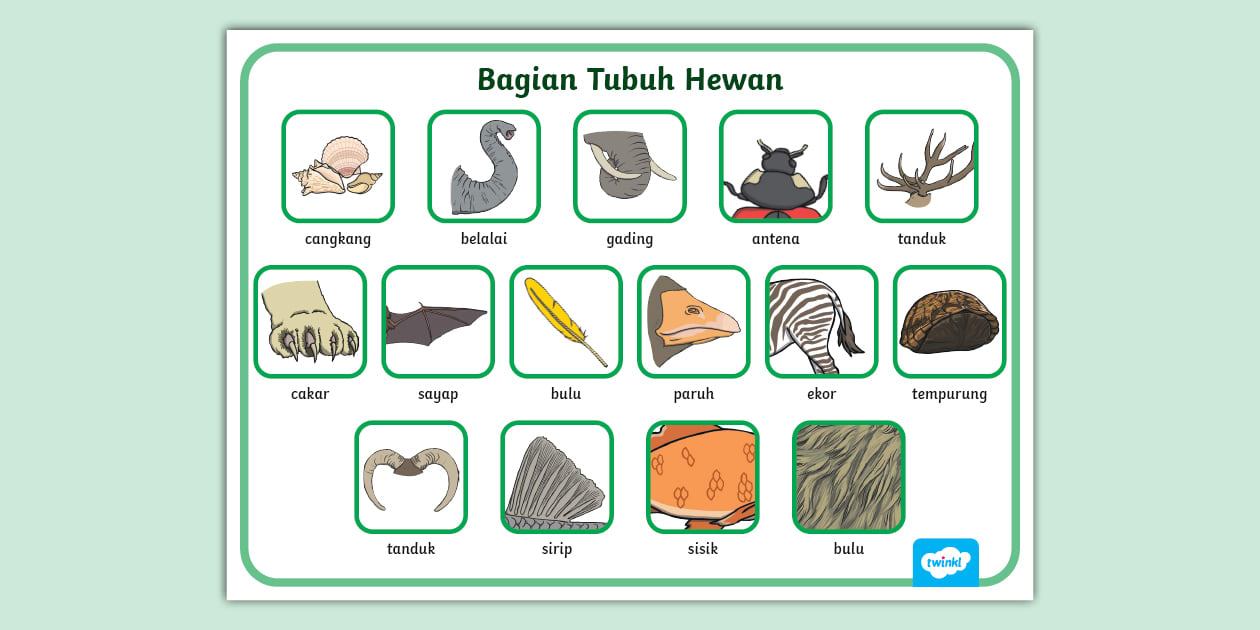 Animal Body Parts Word Mat - Indonesian (teacher made)