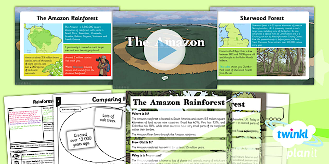 Geography: Rainforests: The Amazon Rainforest Fact File