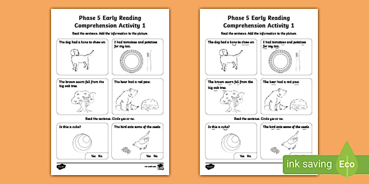 Phase 5 EYFS Reading Comprehension Activity 1 (teacher made)