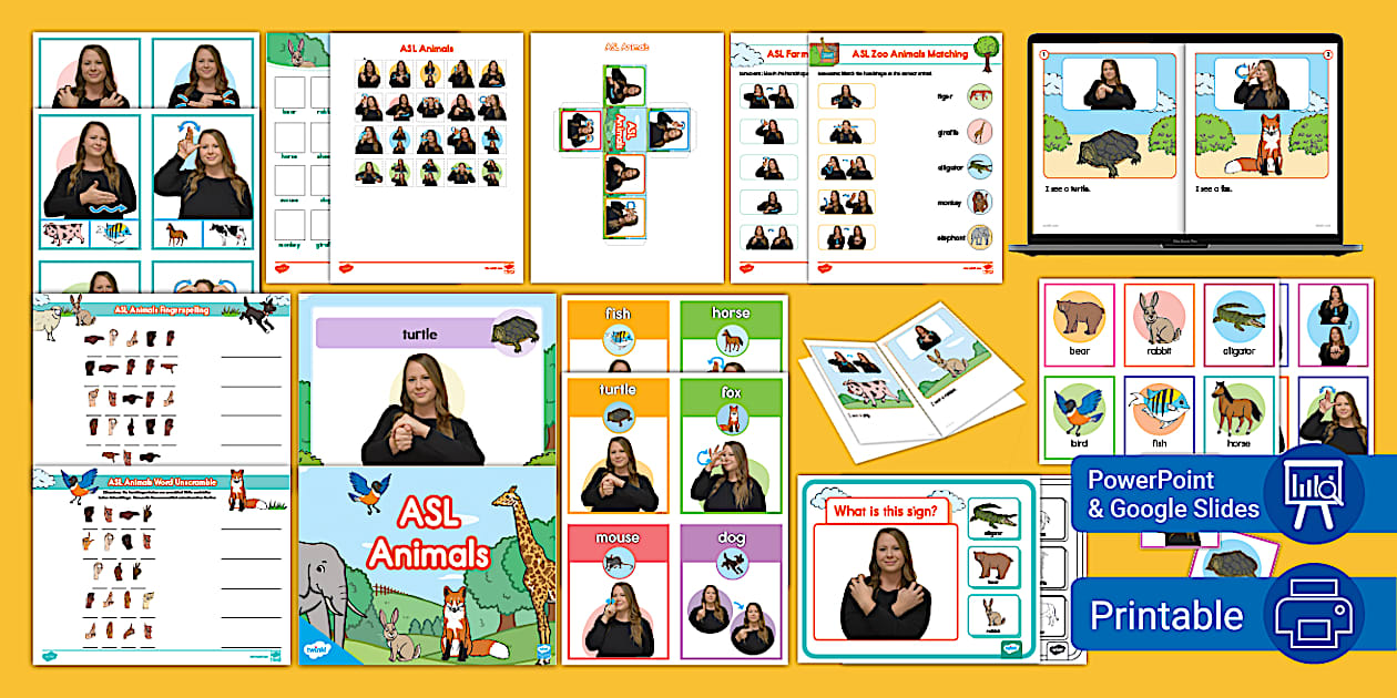 ASL Animals Activity Pack (teacher made) - Twinkl