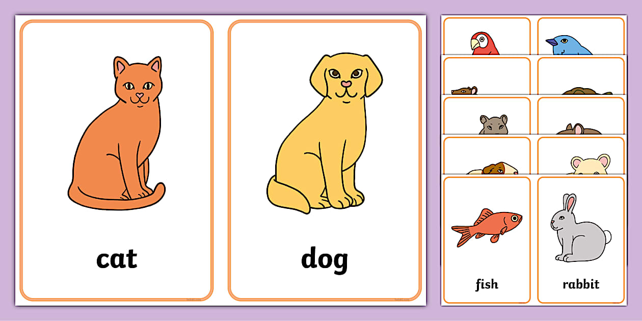 Twinkl Symbols: Animals Vocabulary Flashcards - Twinkl