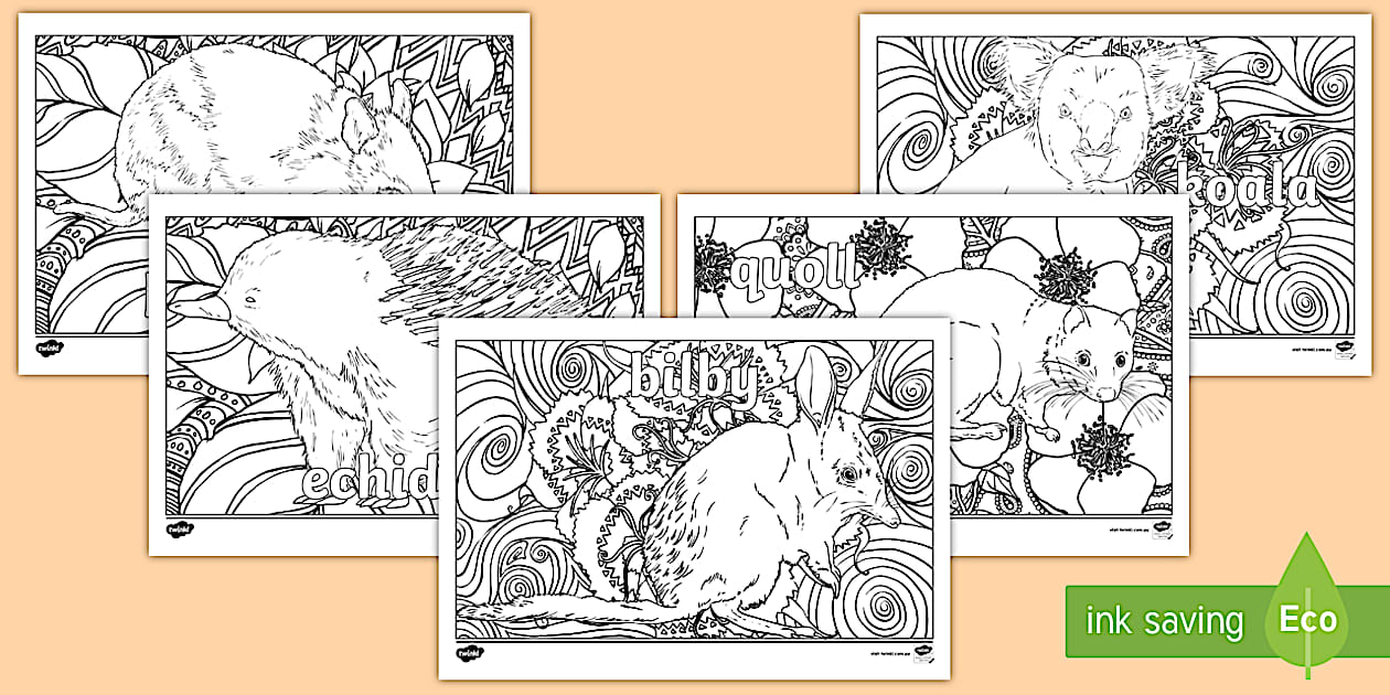 Australian Animal Mindfulness Activity | Colouring Sheets