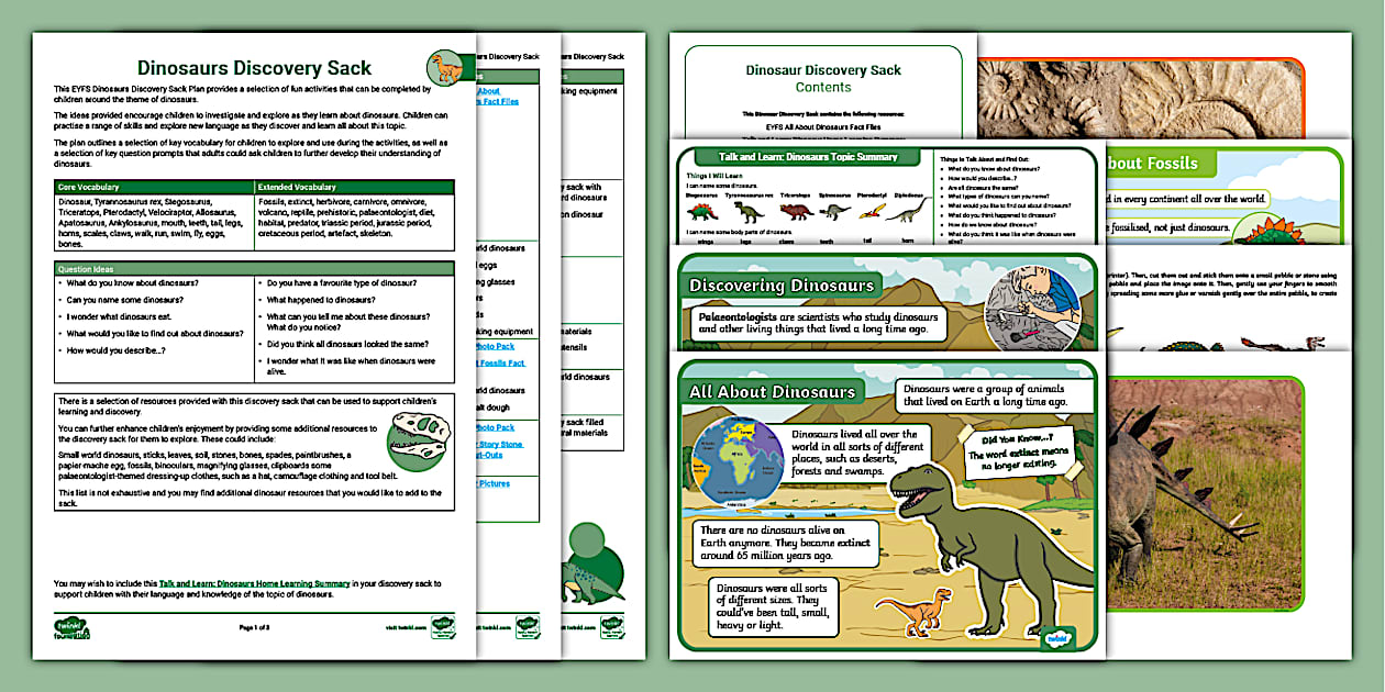 EYFS Dinosaurs Discovery Sack Plan and Resource Pack