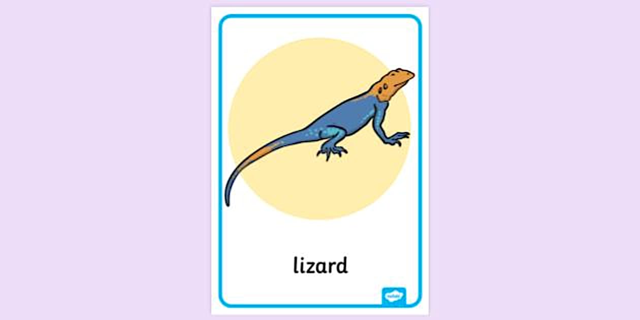 Lizard Display Poster | Primary Resources (teacher made)