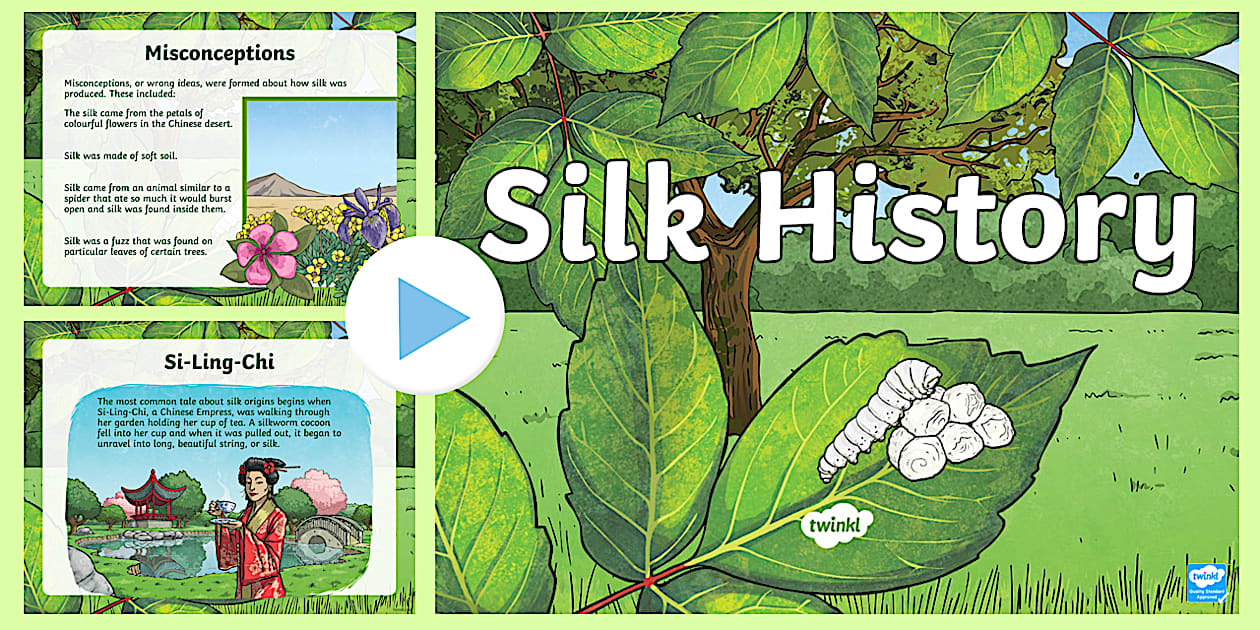 History of Silk Information PowerPoint - Twinkl