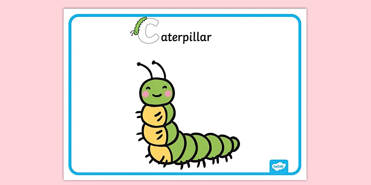 Caterpillar Poster | Twinkl Display Resources (Teacher-Made)