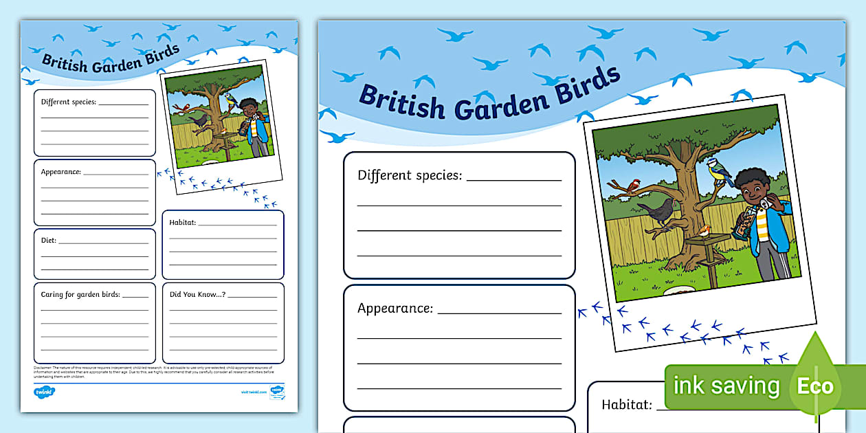 British Garden Birds Fact File Template (teacher made)