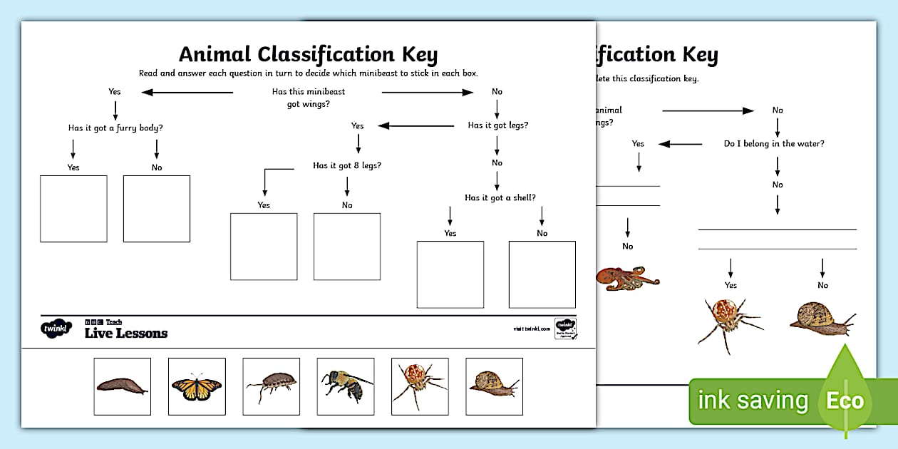 FREE! - Animal Classification Keys KS2 - Primary Resources - Twinkl