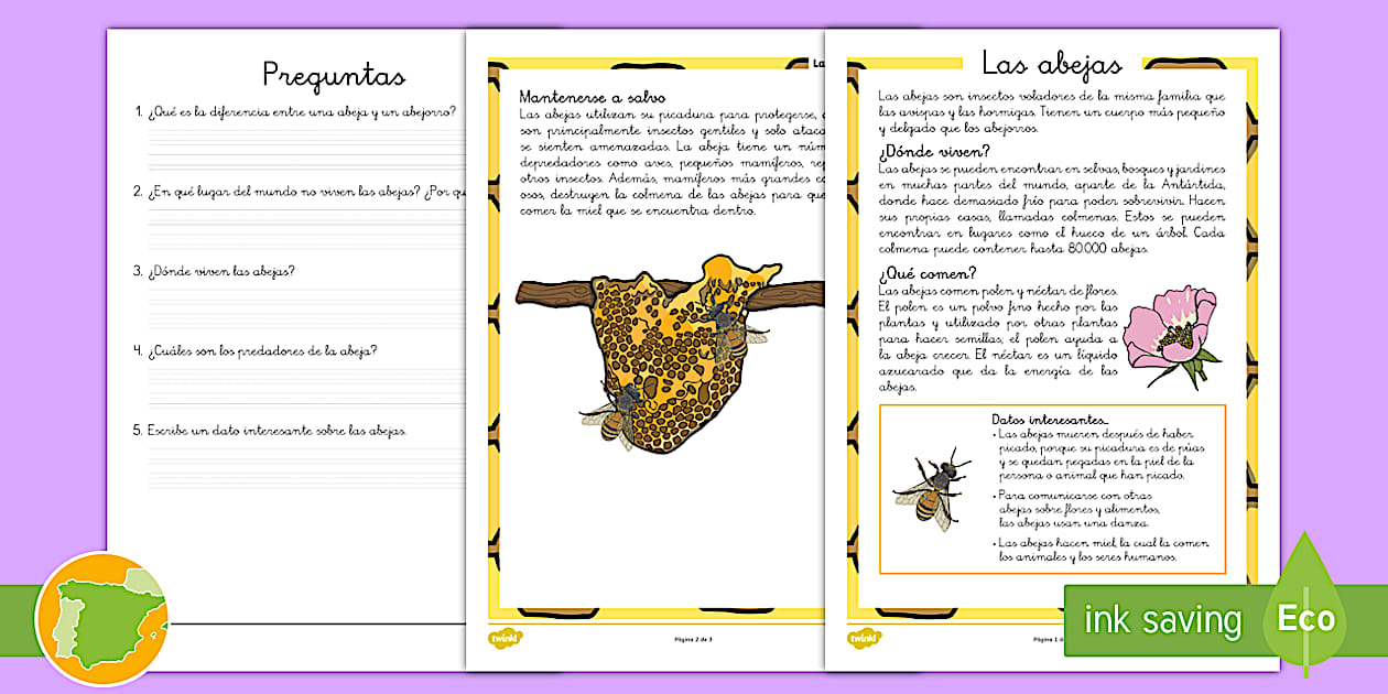 Comprensión lectora de atención a la diversidad: Las abejas