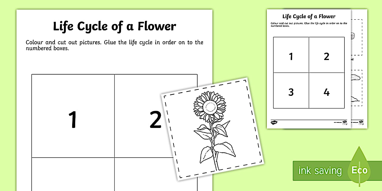 Editable Life Cycle of a Flower Cut and Paste Activity