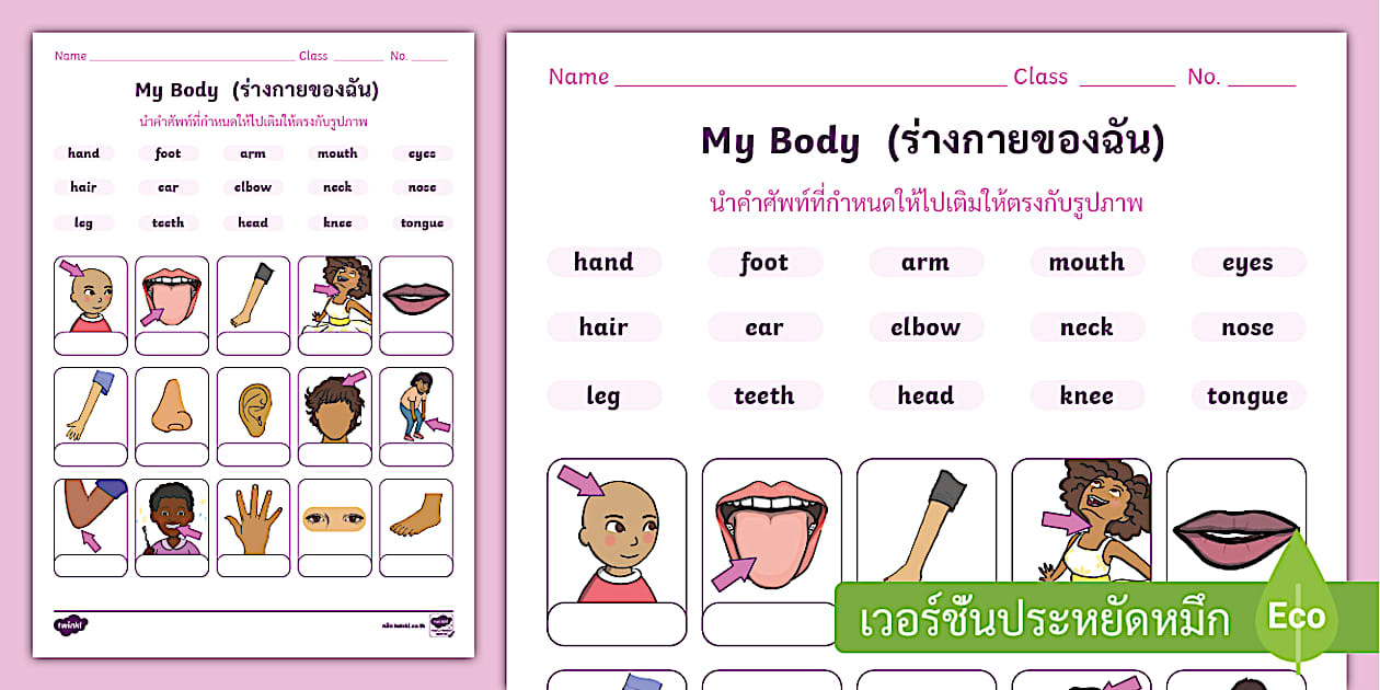 แบบฝึกหัดร่างกายภาษาอังกฤษ - My Body Vocabulary Worksheet