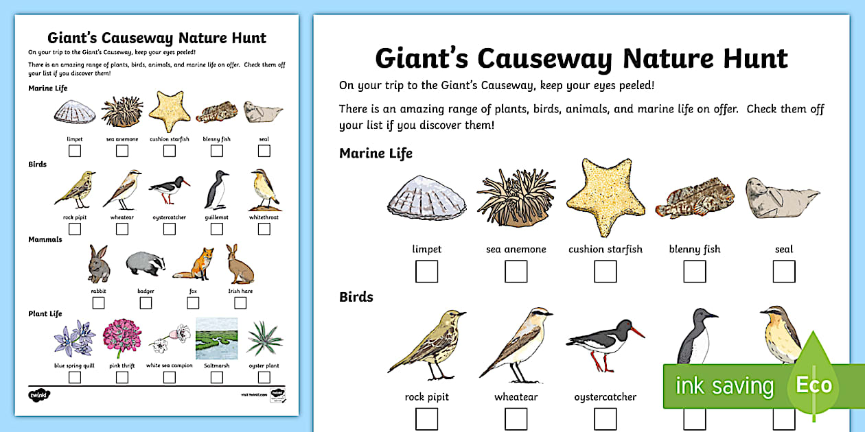 Giant's Causeway Nature Hunt Worksheet / Worksheet - Twinkl