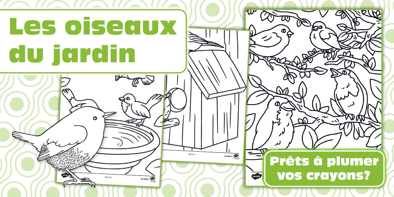Feuilles de coloriage : Les oiseaux du jardin