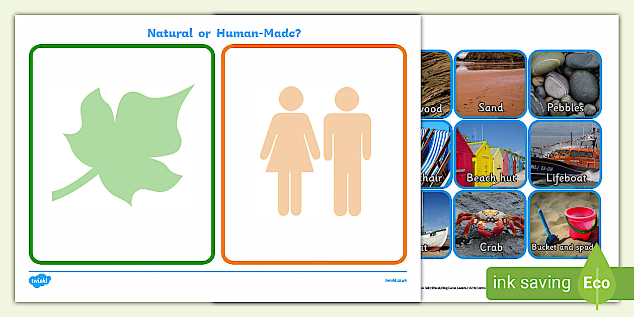 Seaside Themed Natural or Human-Made Sorting Activity - seaside
