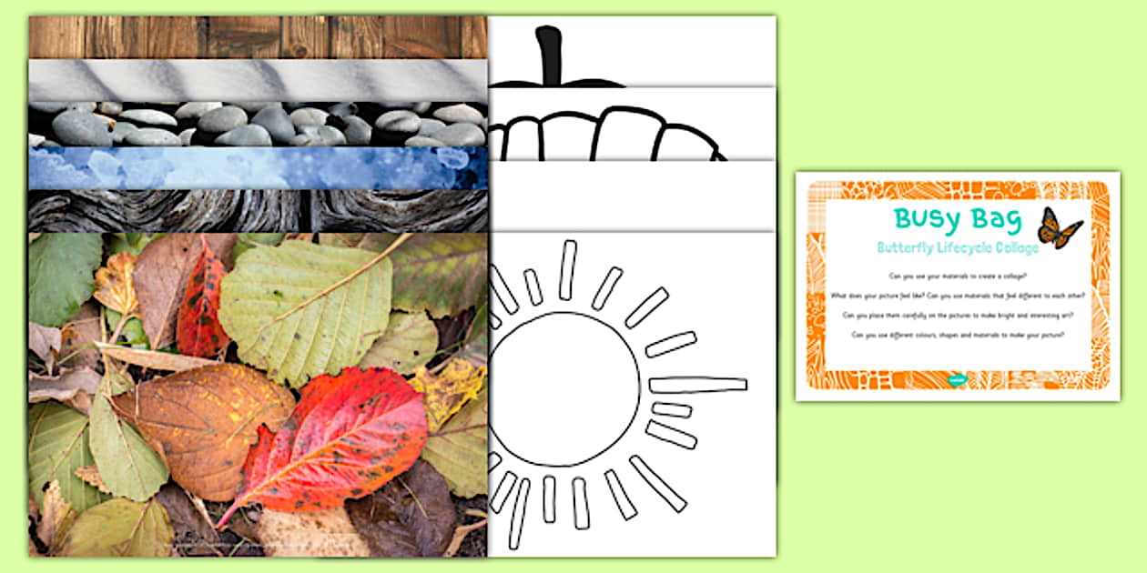 Butterfly Life Cycle Collage Busy Bag Prompt Card and Resource Pack