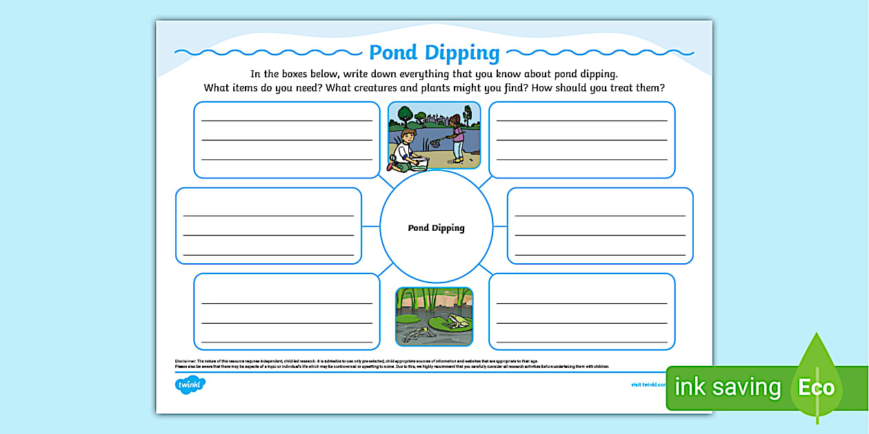 Pond Dipping Mind Map (teacher made) - Twinkl