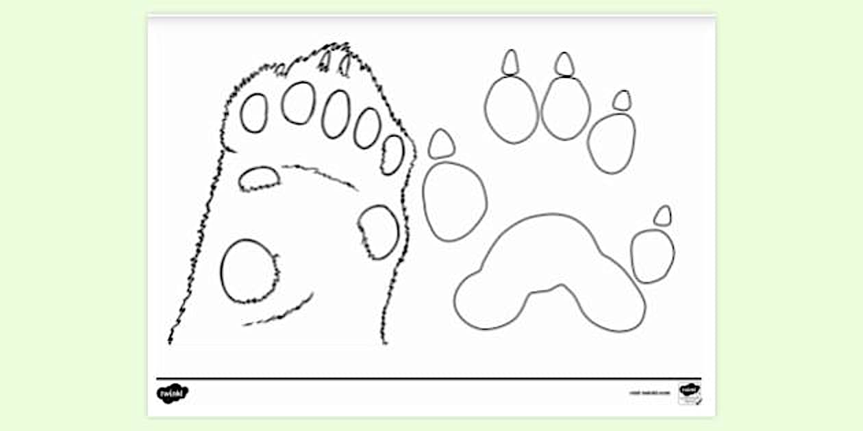 Otter Paw Colouring Sheet (teacher made) - Twinkl
