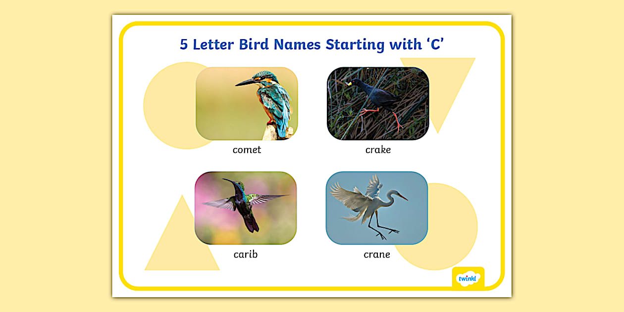 5 Letter Bird Names Starting with 'C' (teacher made)