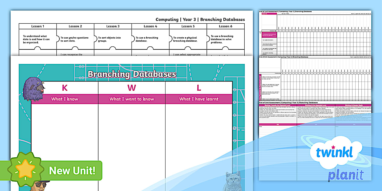 Computing: Branching Databases Year 3 Assessment Pack
