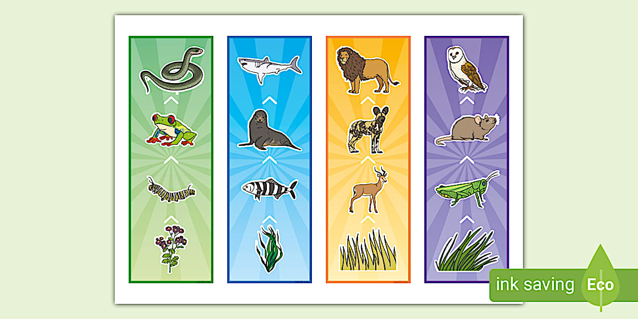 Food Chain Bookmarks,Food Chains KS1 (teacher made) - Twinkl