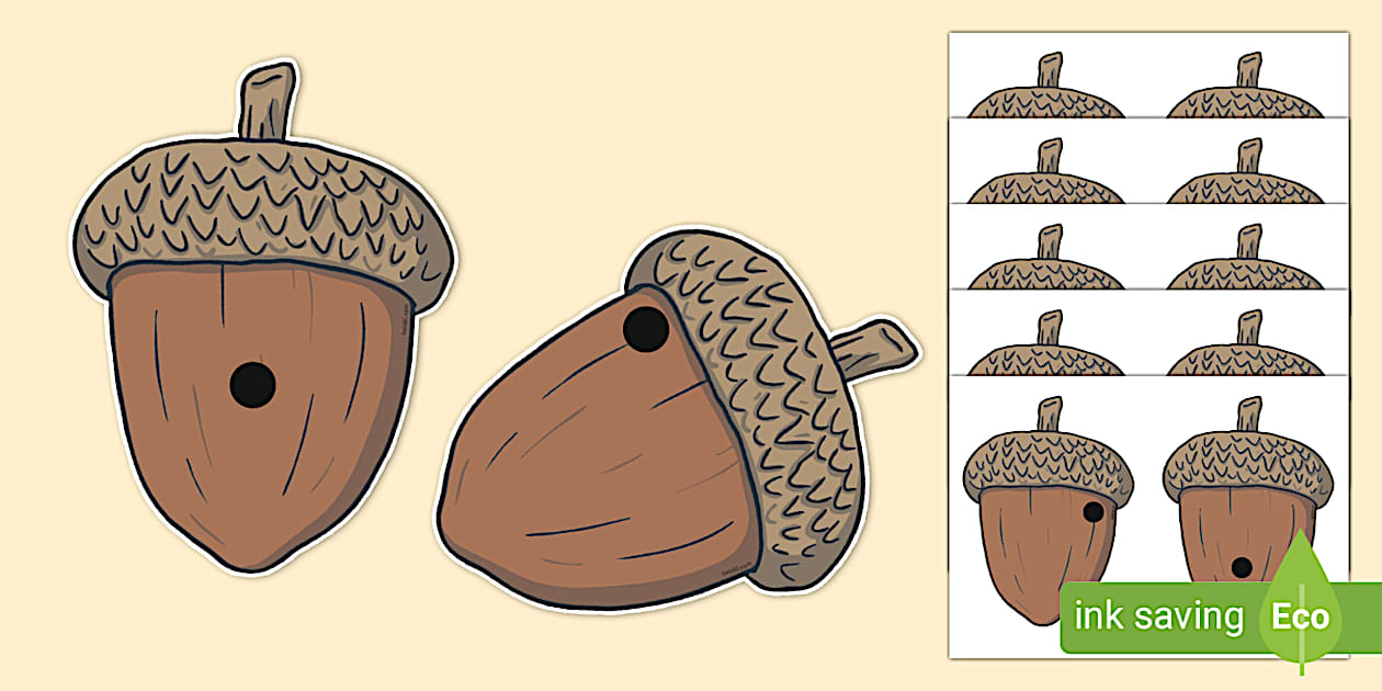 👉 Large Acorn Subitising 1-5 Cards | Twinkl - Twinkl