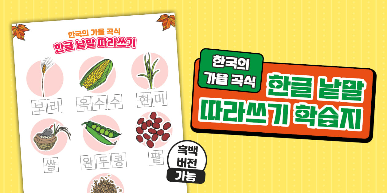 한국의 가을 곡식 한글 낱말 따라쓰기 학습지 Autumn Crops of South Korea Hangul Trace Activity