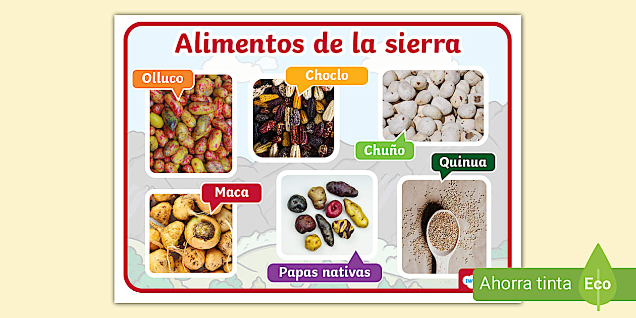 Lámina: Alimentos de la sierra | Twinkl Perú - Twinkl