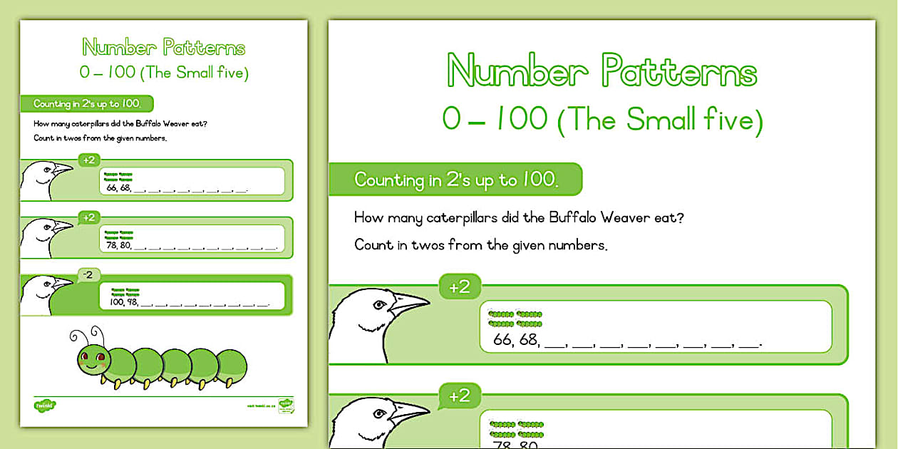Grade 1 Maths: Number Patterns: 2's to 100 (teacher made)